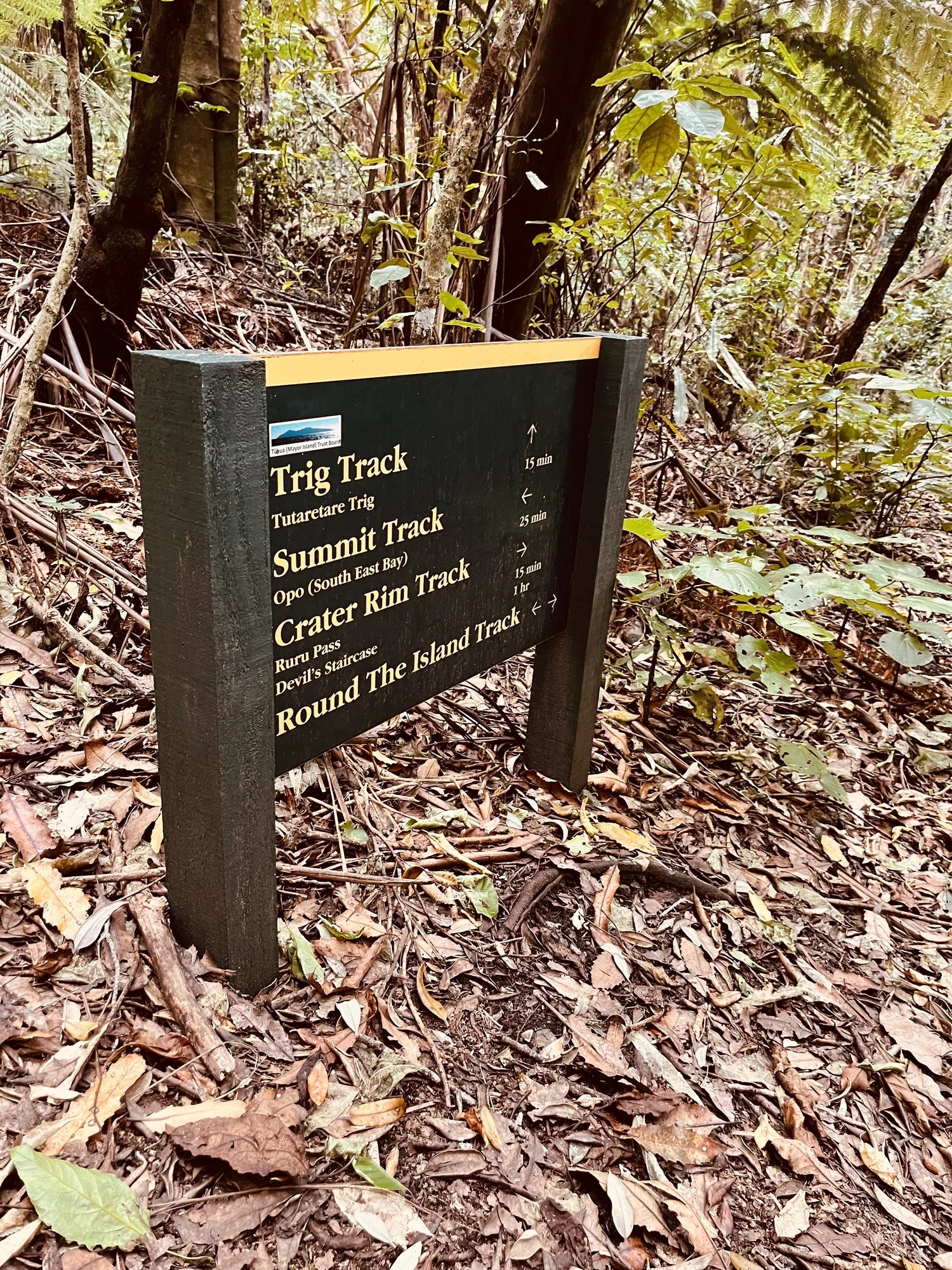 Sailing to Tuhua - Island of Obsidian