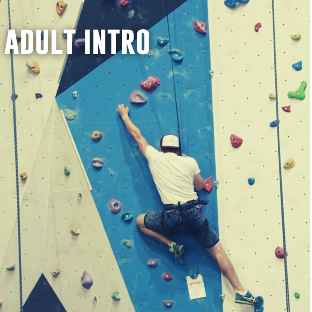 New To Climbing