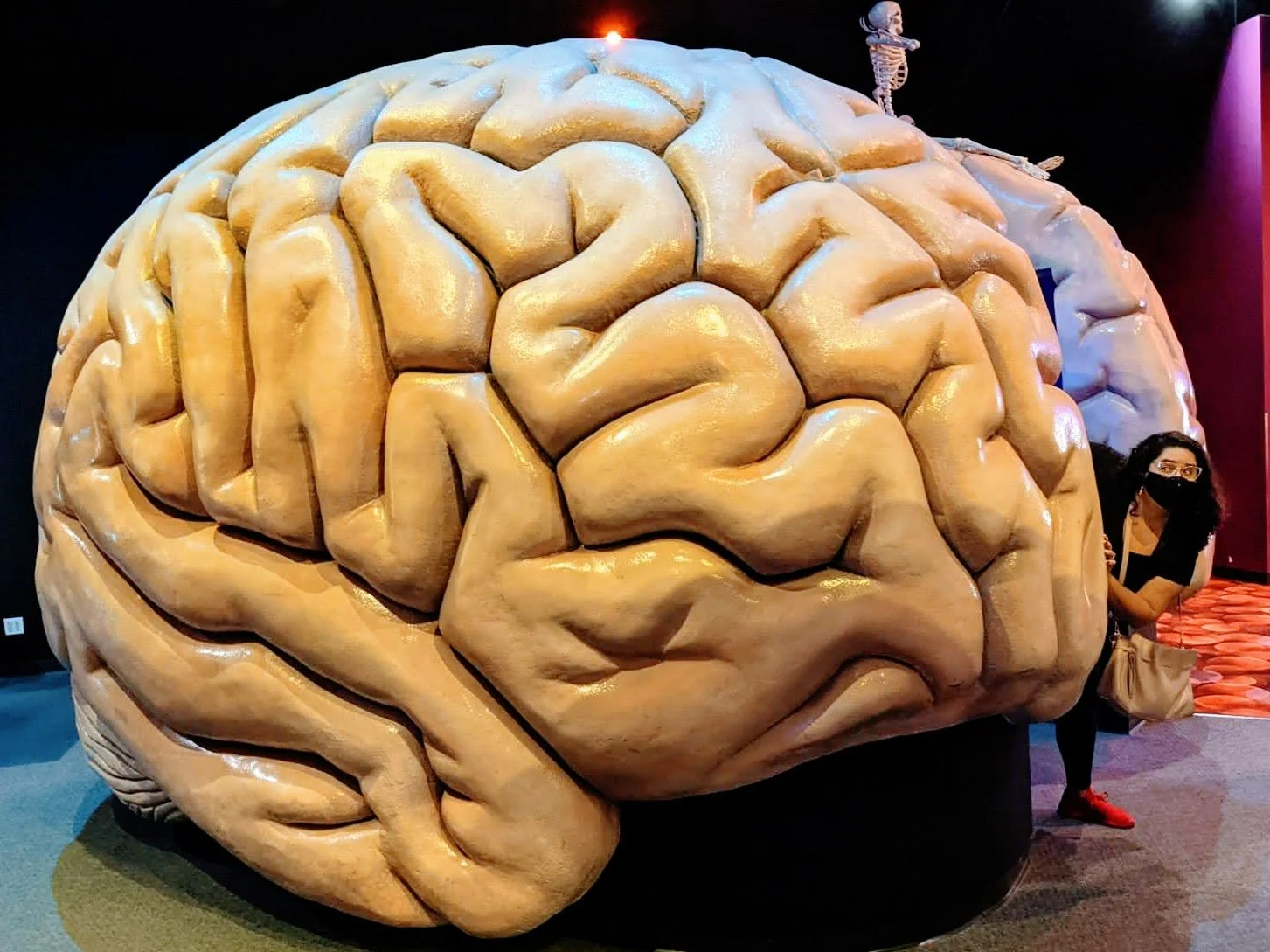 Meet Daniela — Care4Minds.com