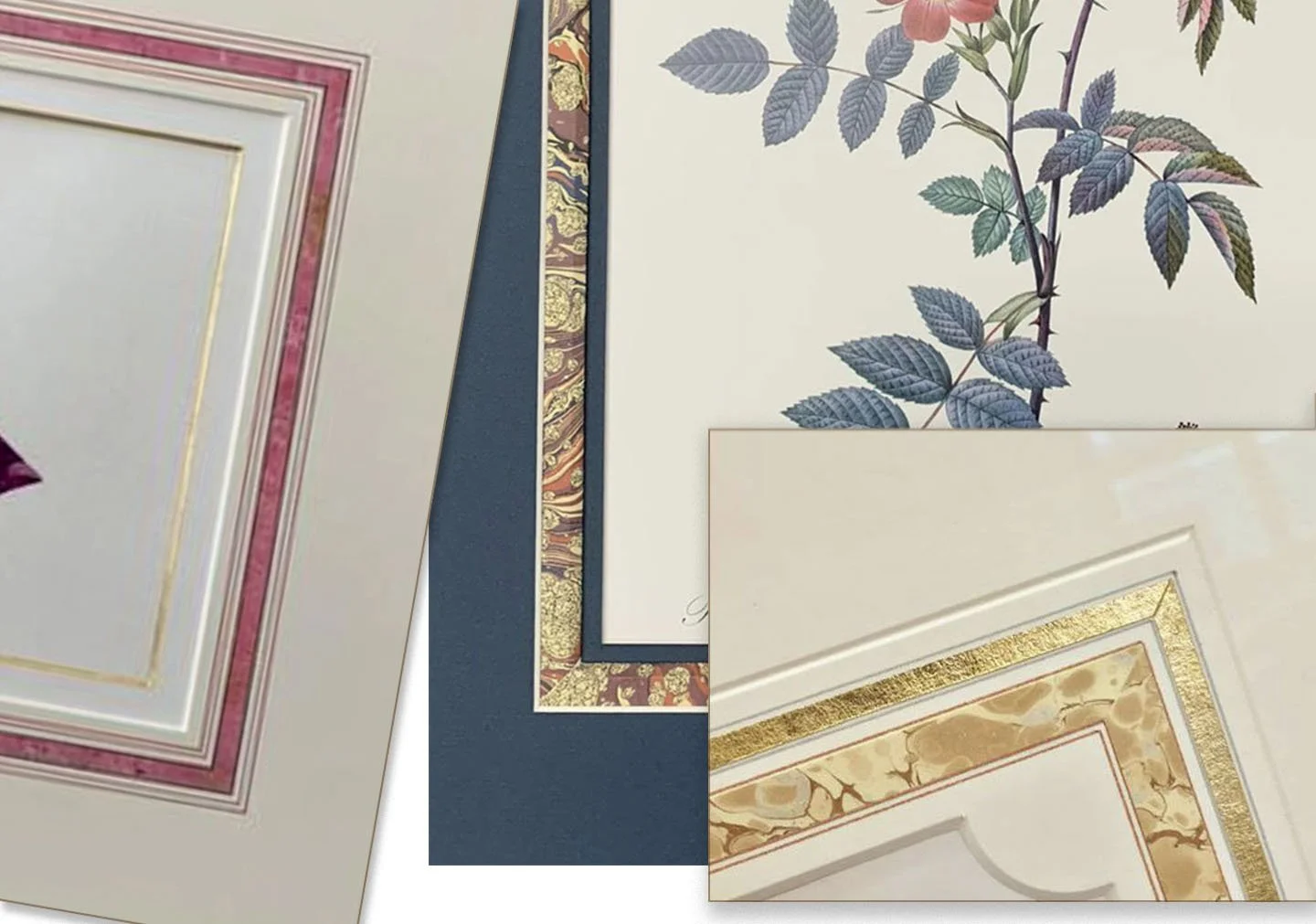 Decorative Matting for Botanical Art — NESBA