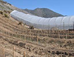Can you Build a Hoophouse on a Slope? — Kat the Farmer