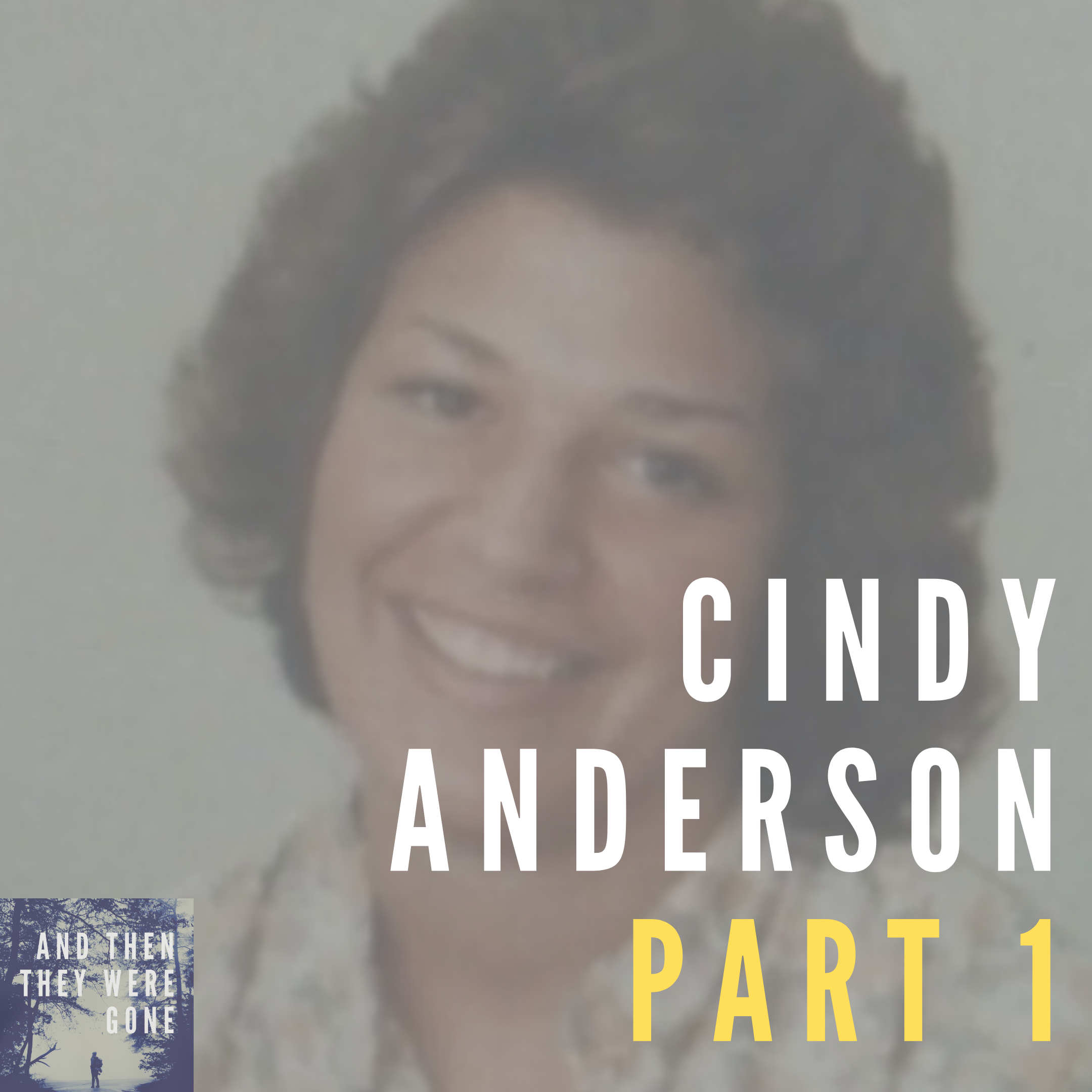 Cindy Anderson: Part 1 — And Then They Were Gone