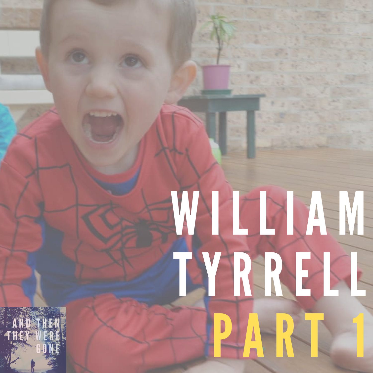 The Complex Tale of William Tyrrell: A Closer Look at the Disappearance ...