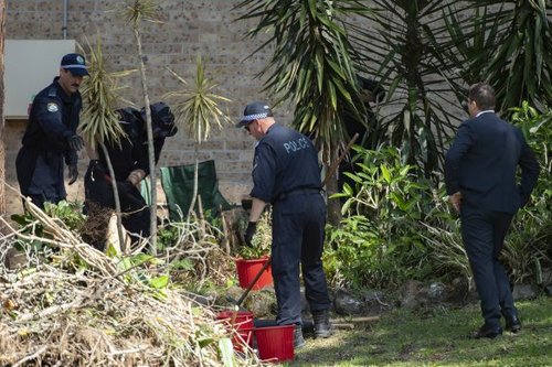 The Complex Tale of William Tyrrell: A Closer Look at the Disappearance ...