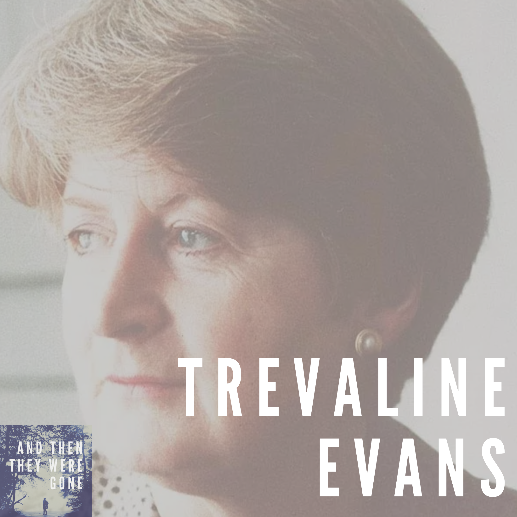 Unraveling the Mystery of Trevaline Evans: A Small Town Disappearance ...