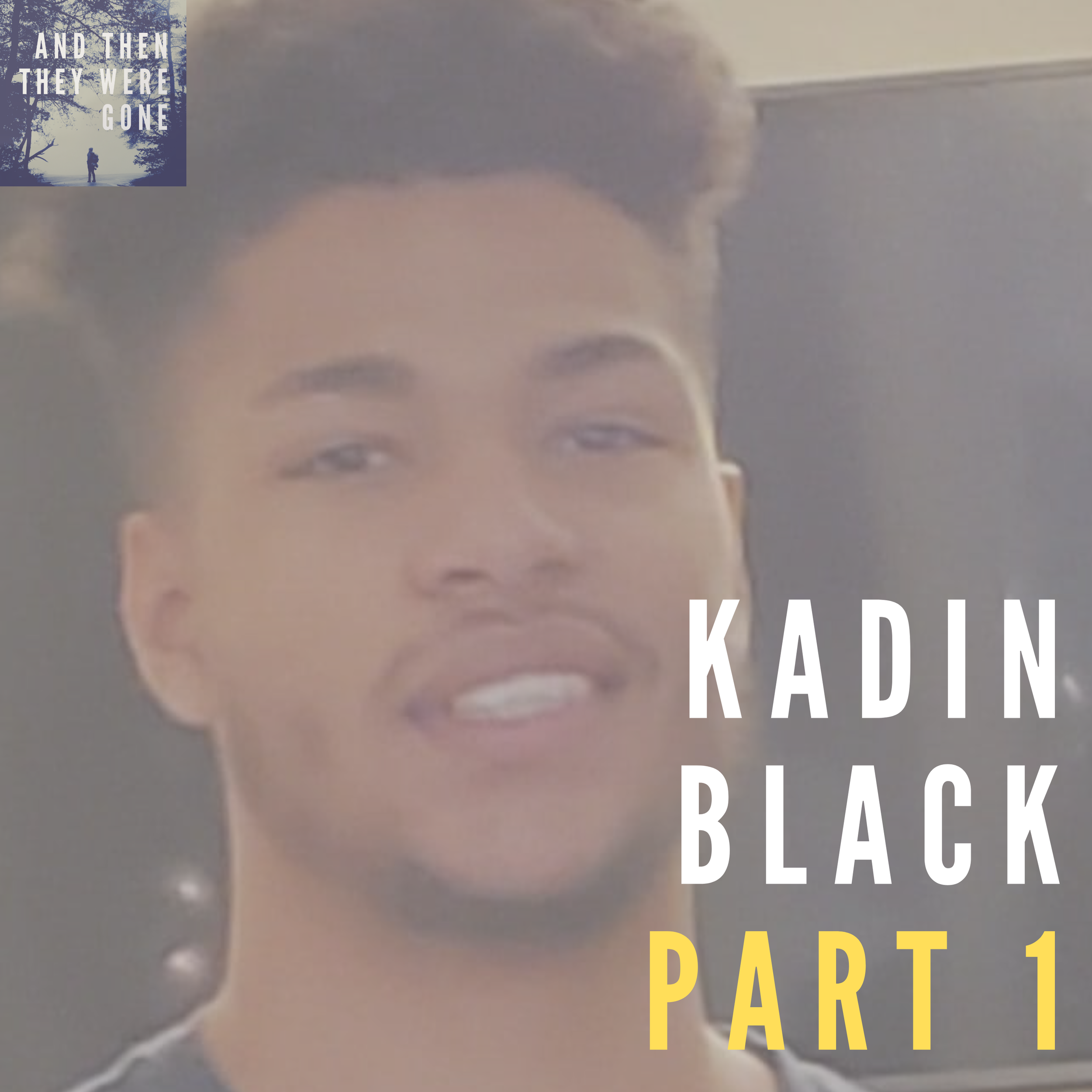 The Disappearance of Kadin black: A Teen’s Struggle — And Then They ...