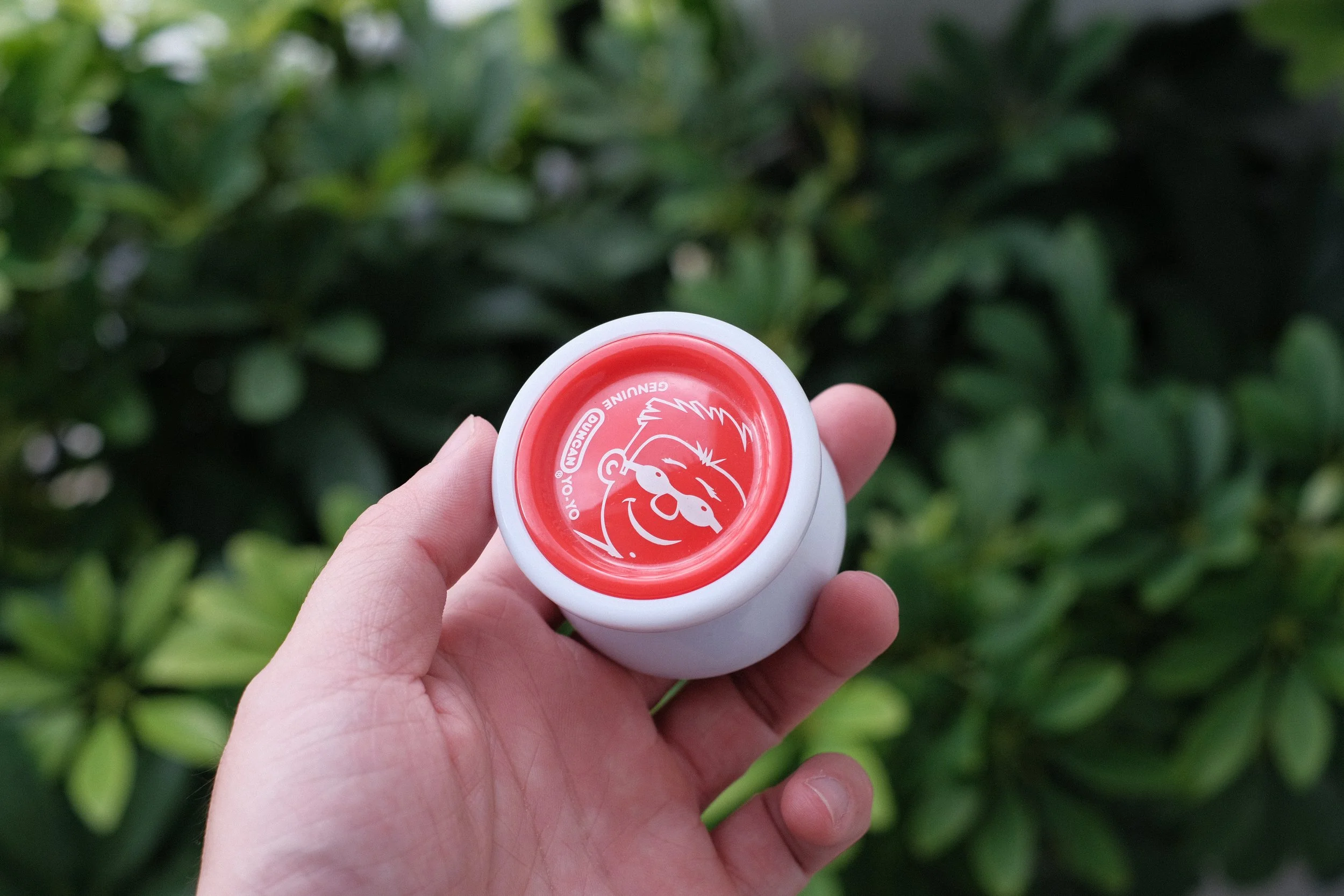 Arctica — atmos projects