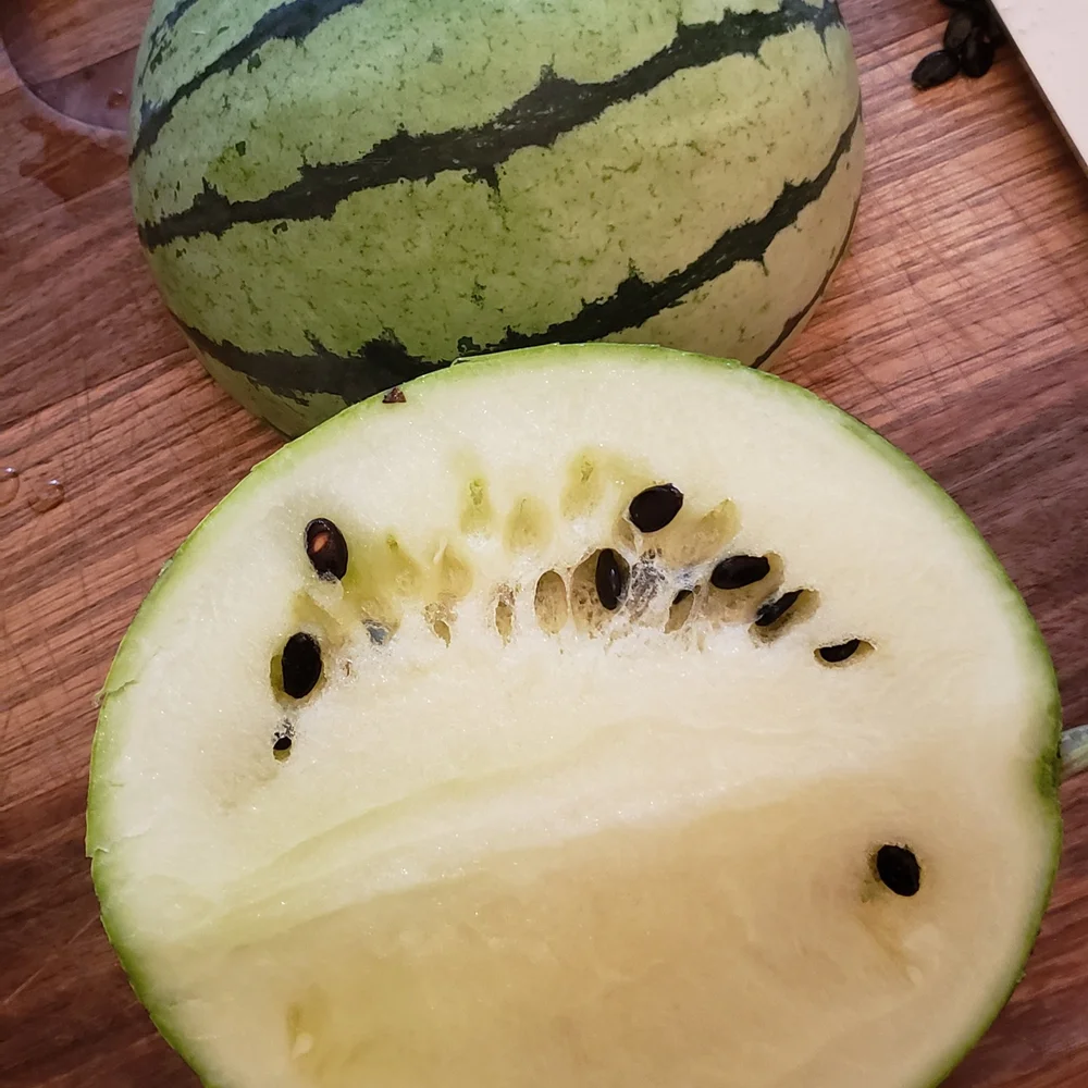 White Wonder Watermelon
