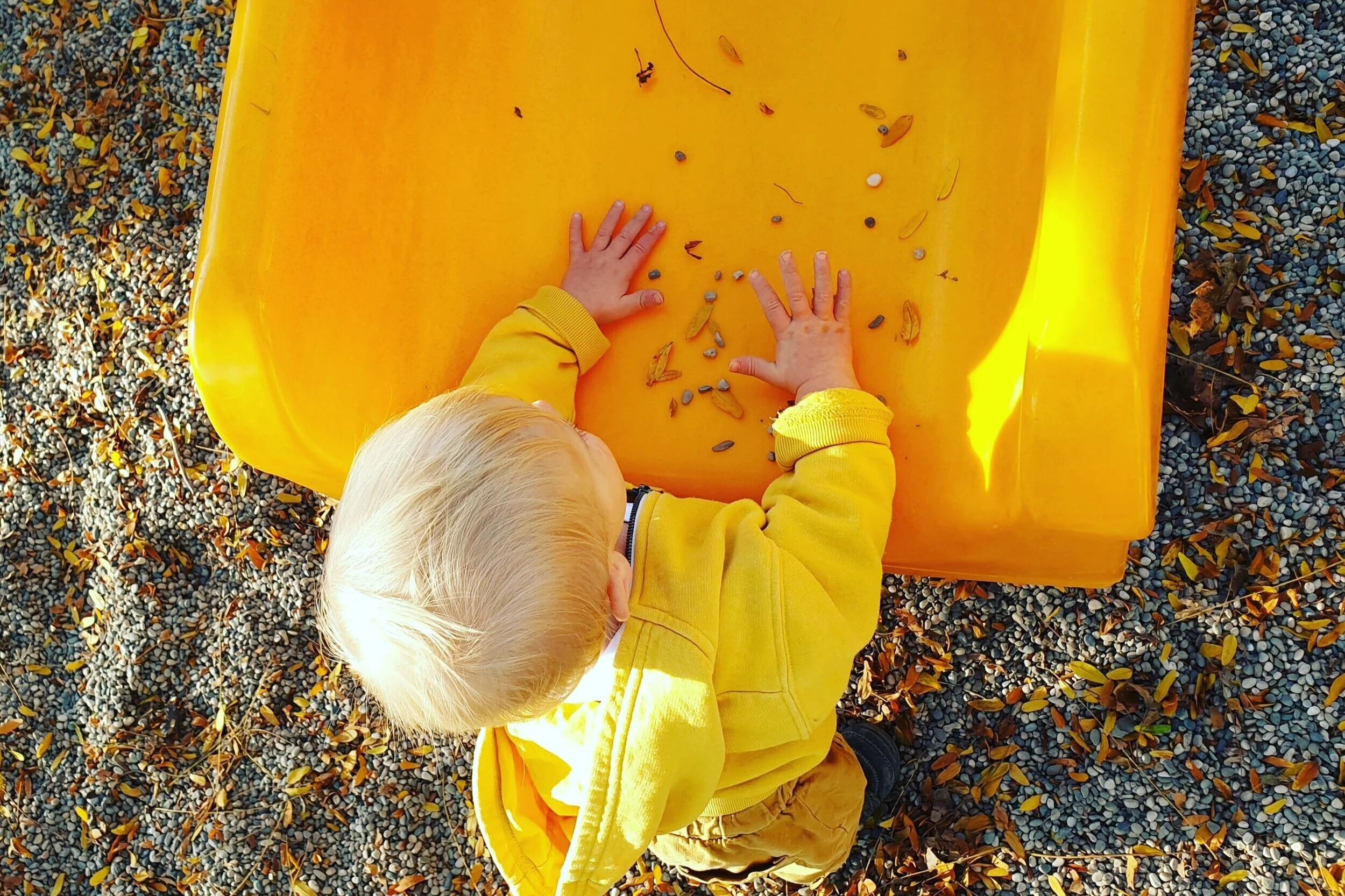 Rachel Dorsey: Autistic SLP, LLC