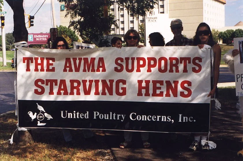 The AVMA’s sustainability goals can be achieved by having compassion ...
