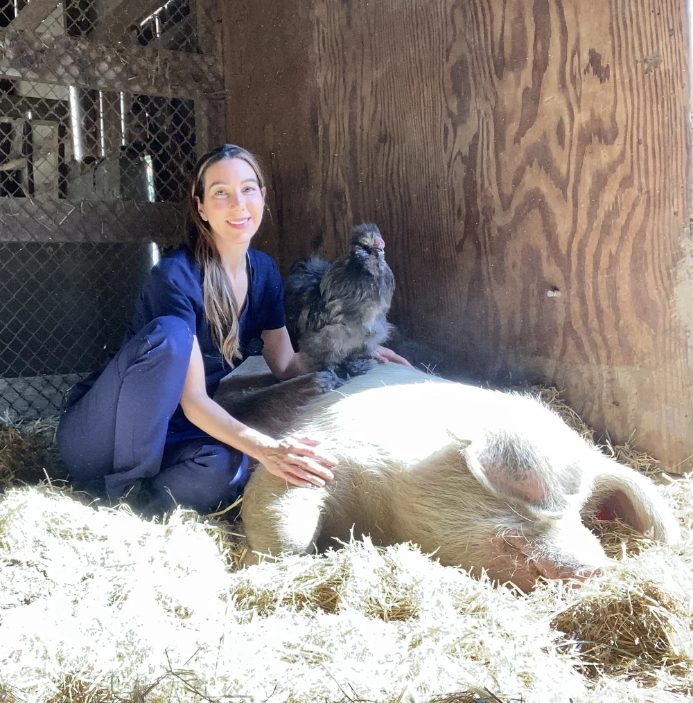 Our Honor Board — Our Honor