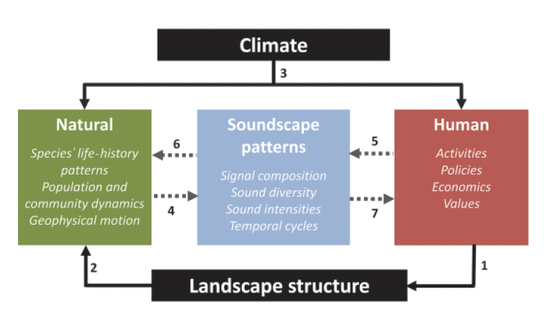 The Ecological Importance of Sound — Kellan Parker