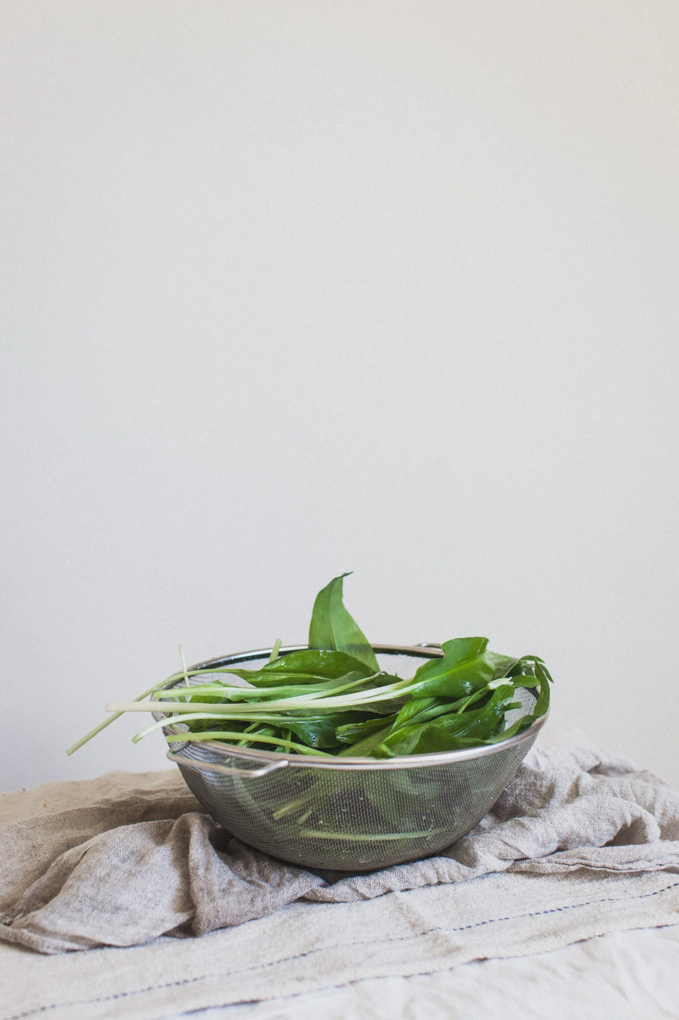 Lifestyle: Where to Find Wild Garlic and How to Forage Responsibly ...