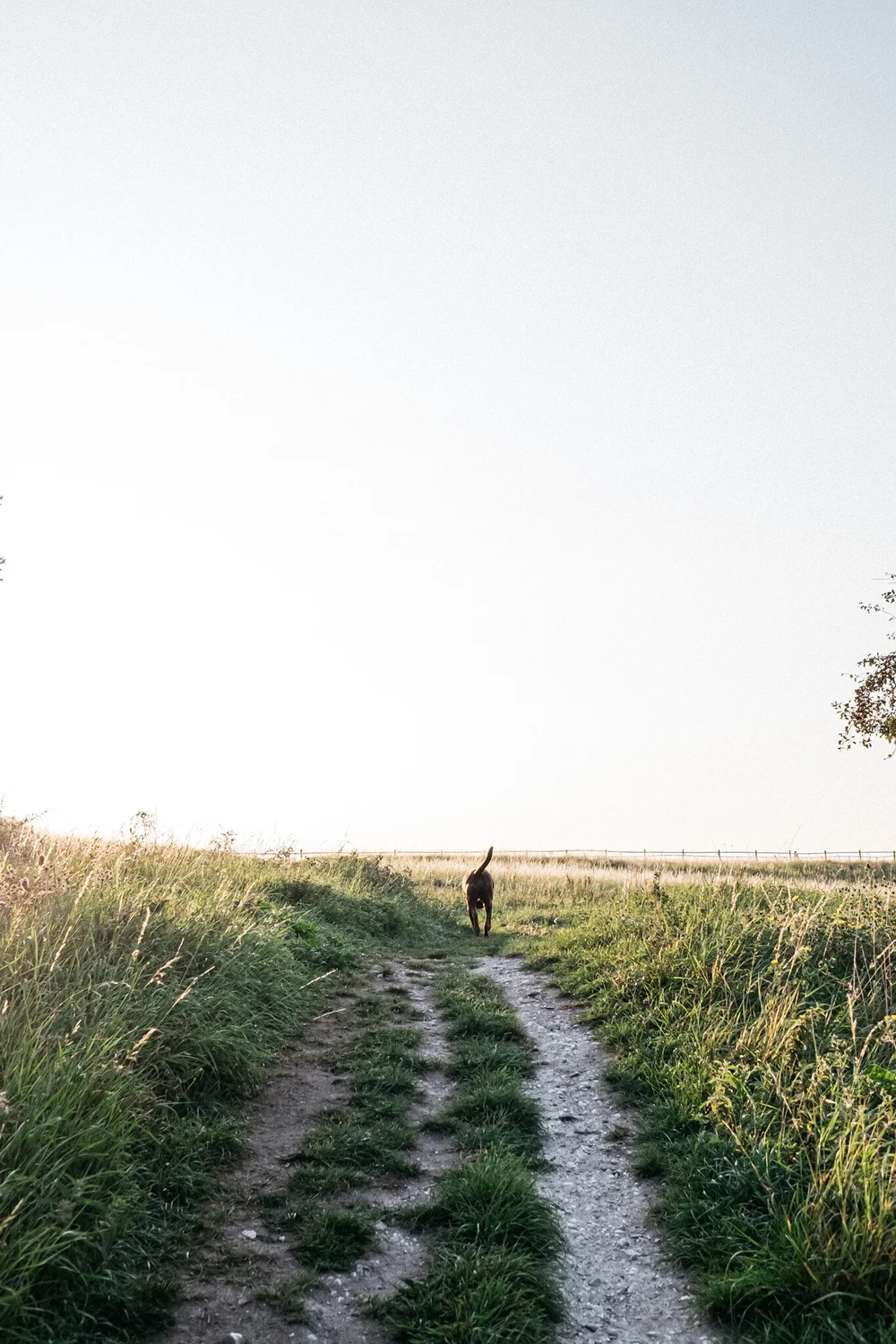 Sussex Walks - Whitehawk Hill — THE HUMBLE HOME