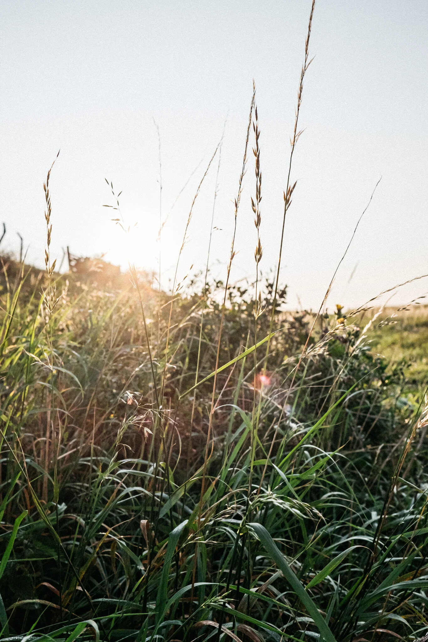 Sussex Walks - Whitehawk Hill — THE HUMBLE HOME