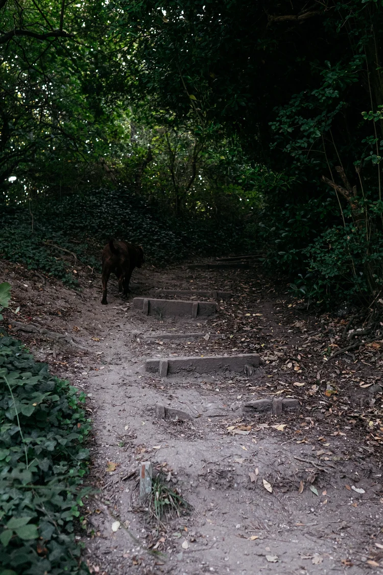Sussex Walks - Whitehawk Hill — THE HUMBLE HOME