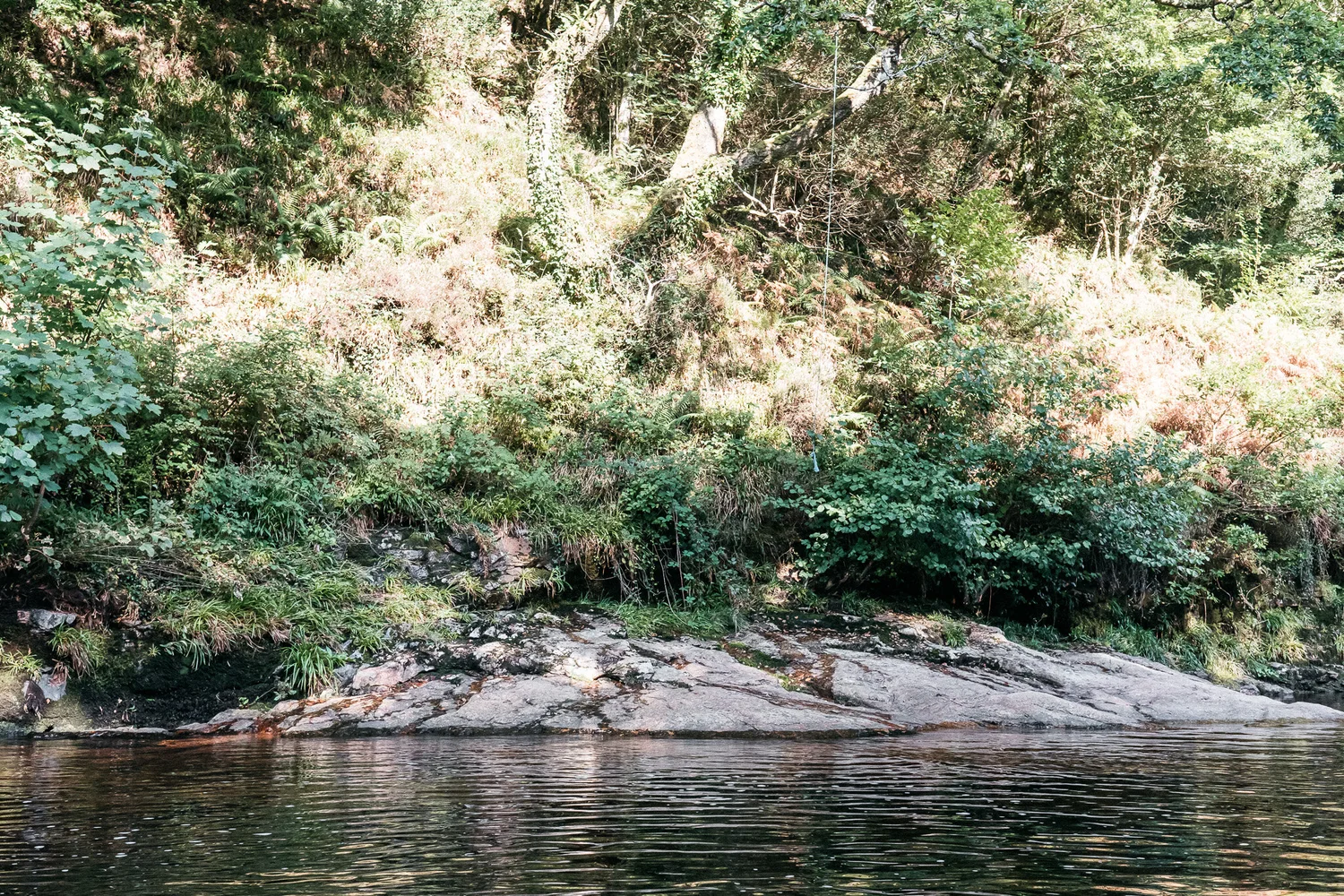 Wild Swimming at Sharrah Pool - Dartmoor — THE HUMBLE HOME