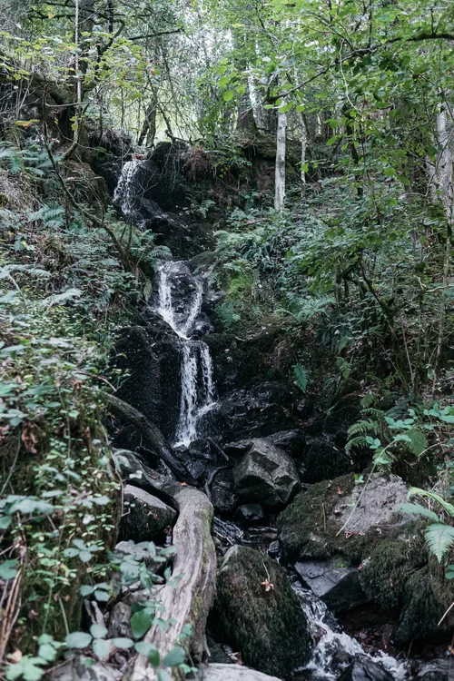 Wild Swimming at Sharrah Pool - Dartmoor — THE HUMBLE HOME