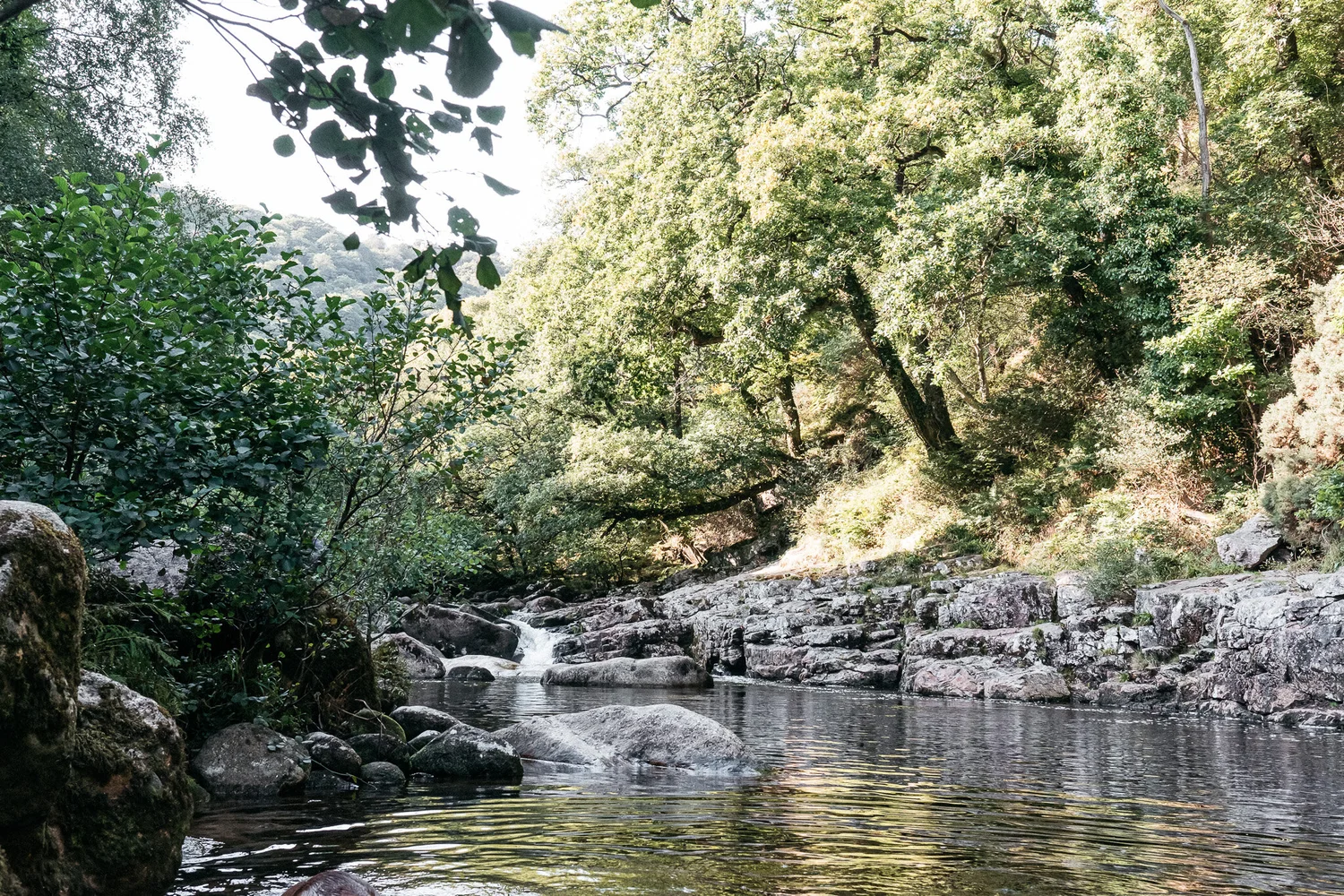 Wild Swimming in Dartmoor - a guide — THE HUMBLE HOME