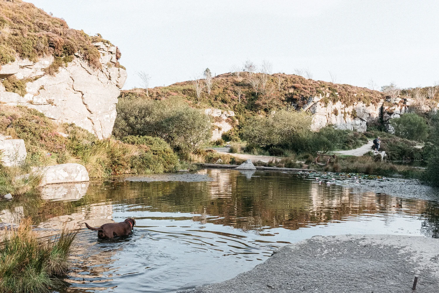 Wild Swimming in Dartmoor - a guide — THE HUMBLE HOME