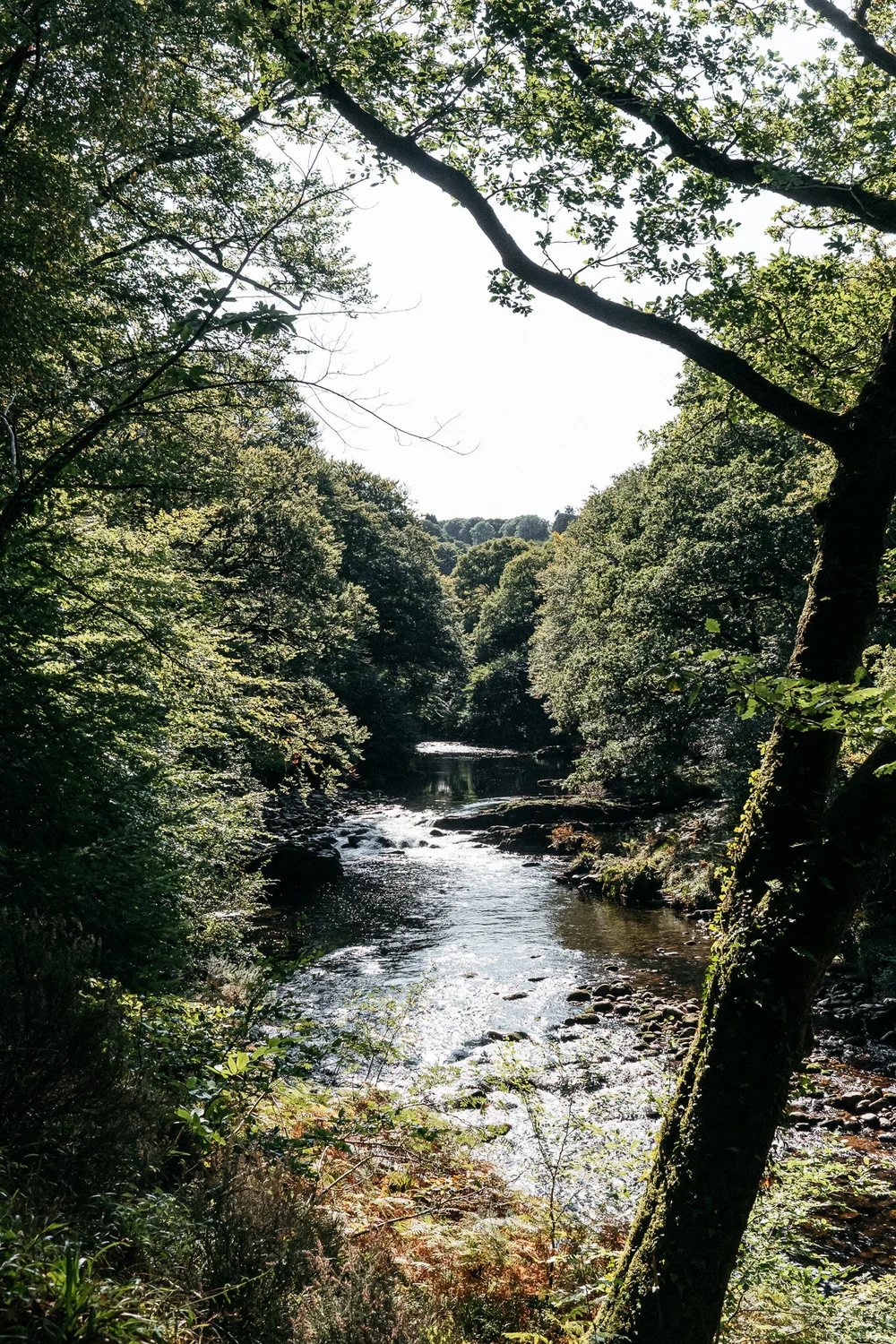 Wild Swimming at Sharrah Pool - Dartmoor — THE HUMBLE HOME