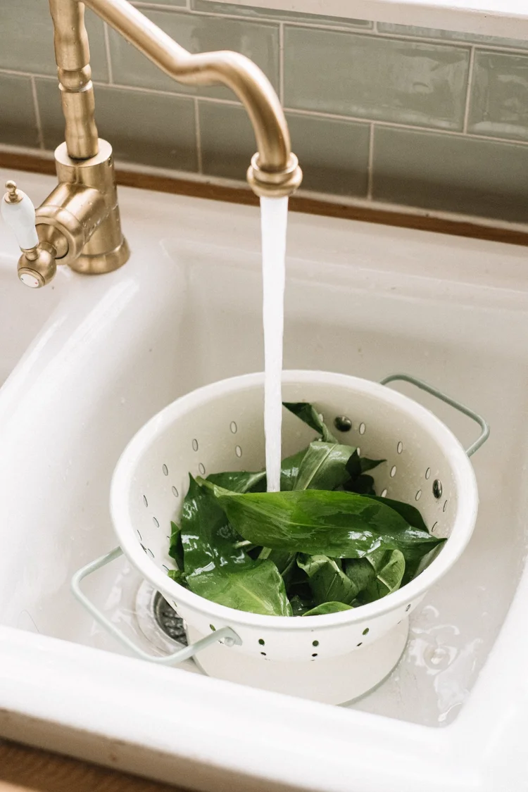Lifestyle: Where to Find Wild Garlic and How to Forage Responsibly ...