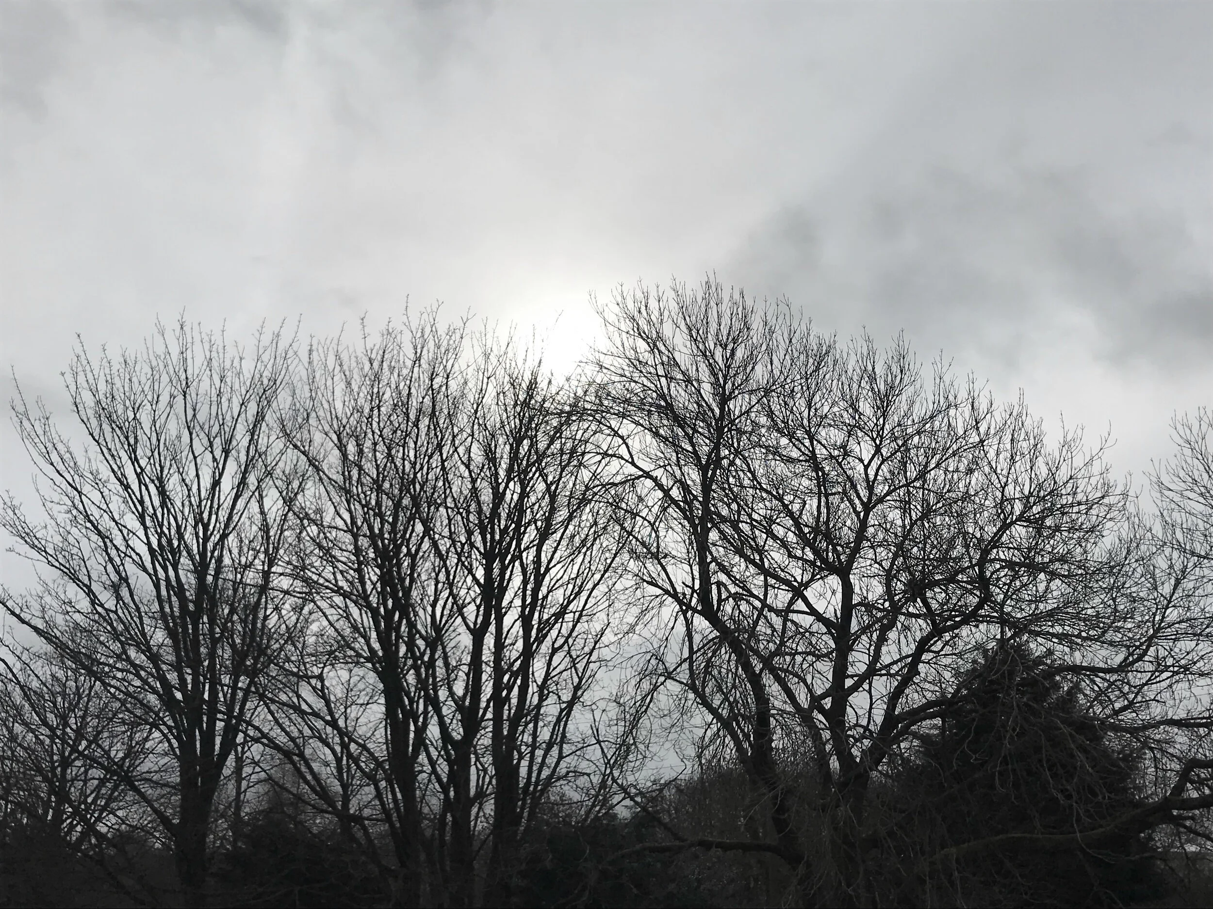 DAVID CHAPPELL David Chappell