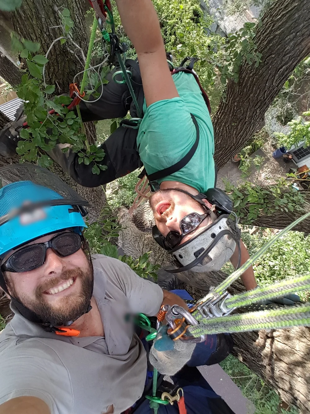 About Us — Branch Manager Tree Care