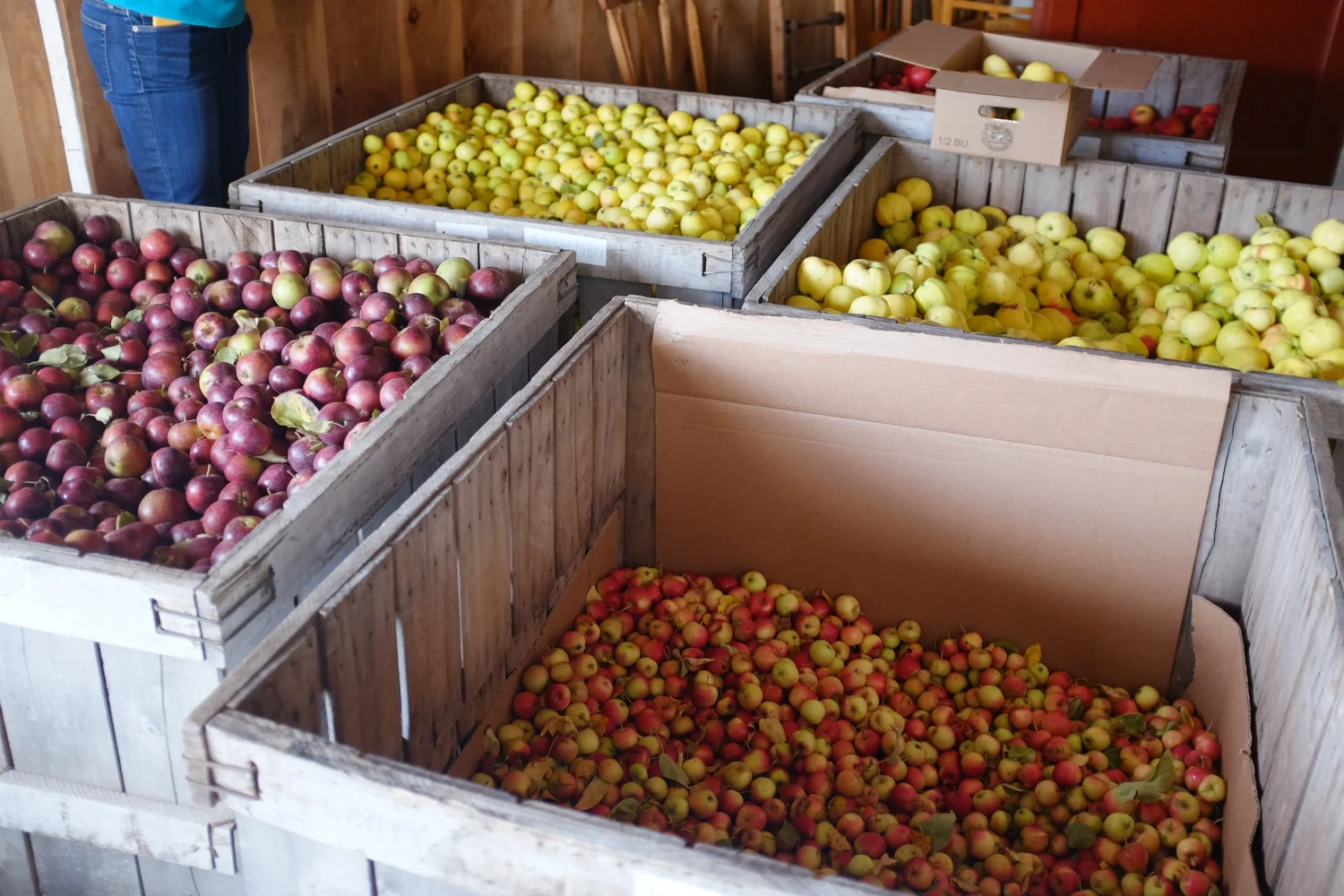 Our Ciders — Artifact Cider Project