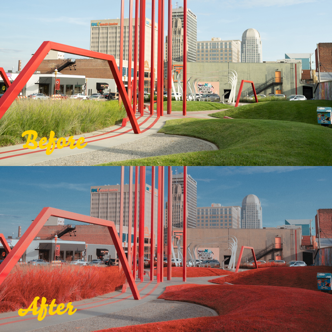 Shop — Dylan Blackburn.