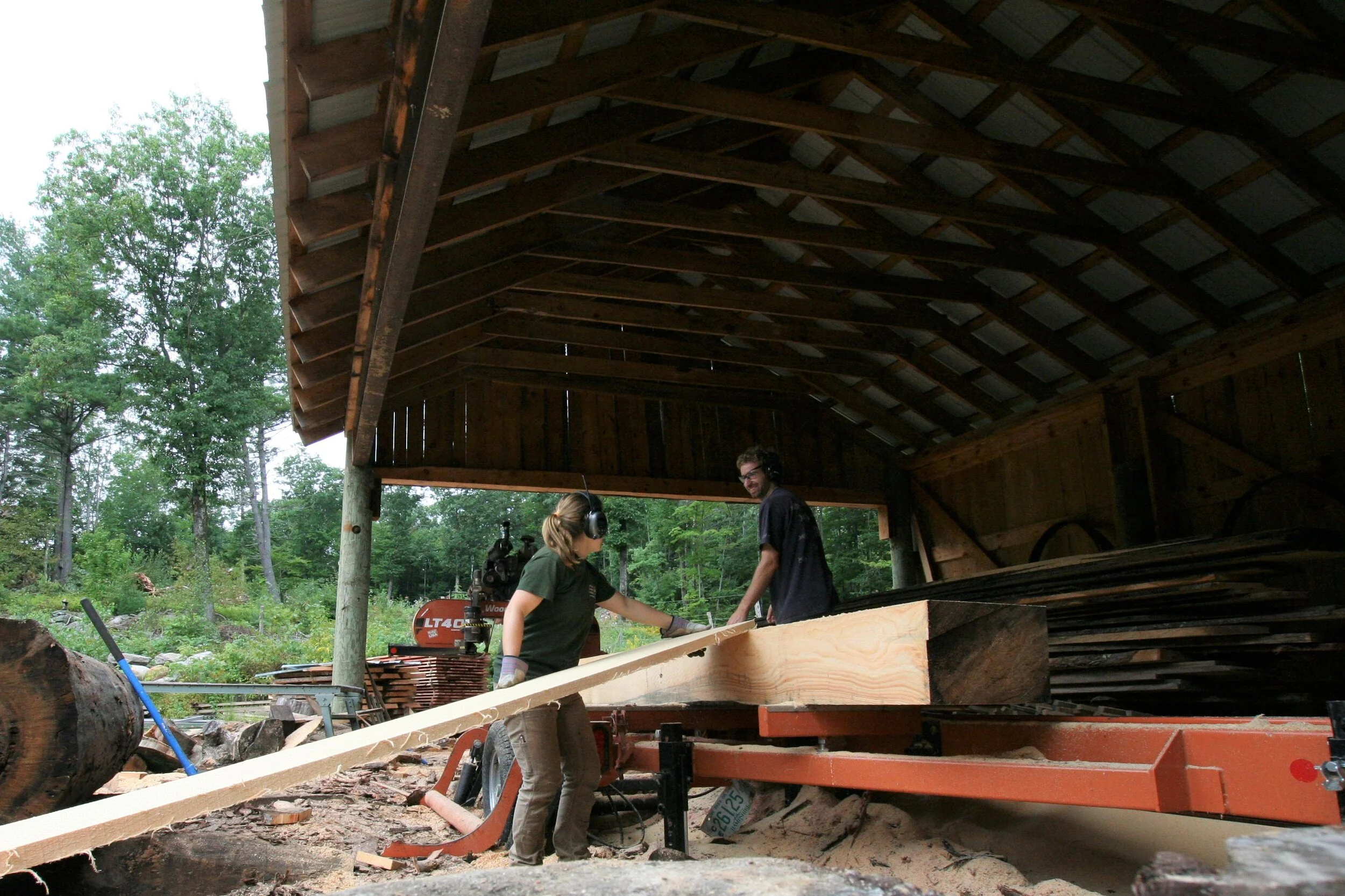 Timberdoodle Farm — Timberdoodle Farm & Sawmill