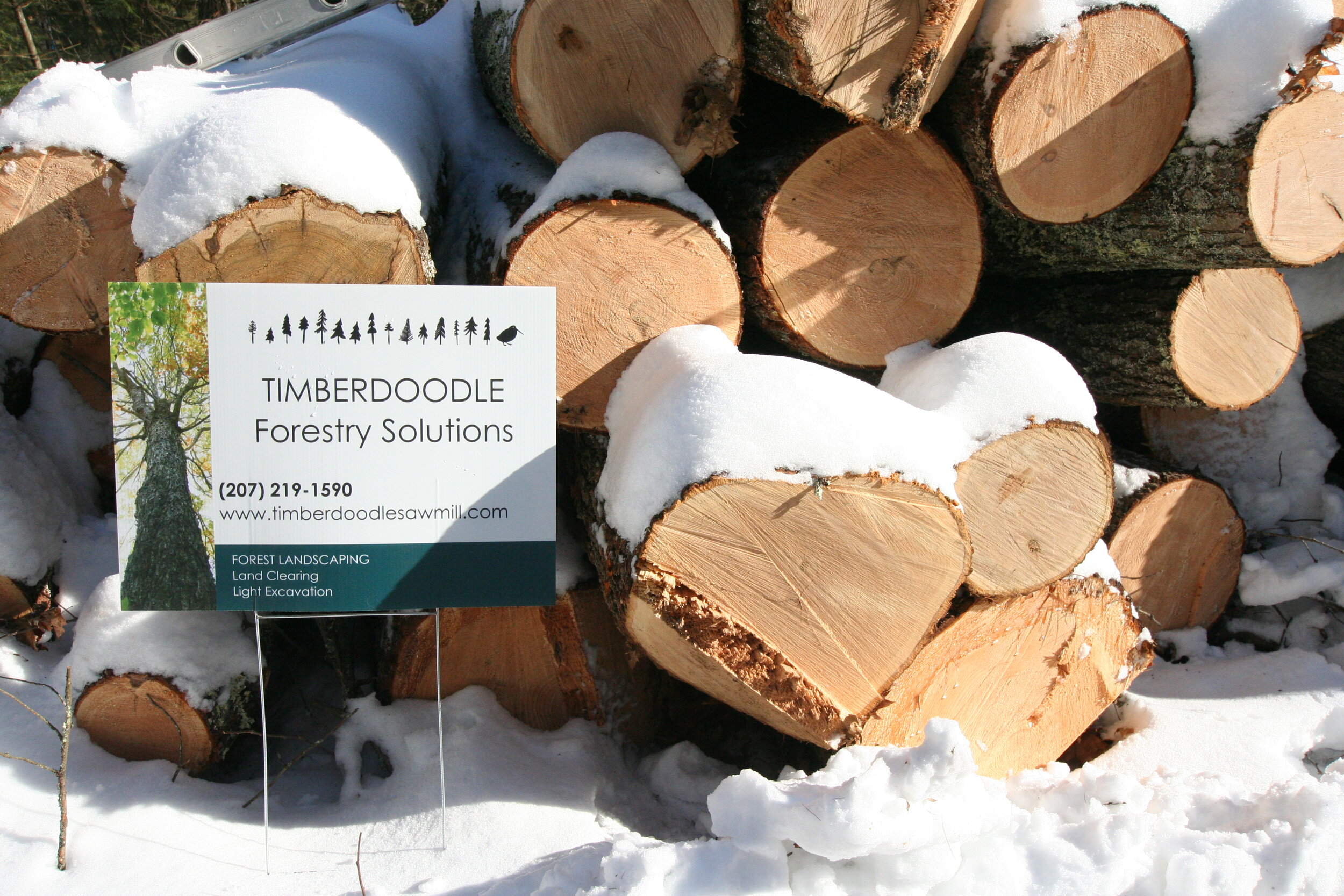 Timber Harvests — Timberdoodle Farm & Sawmill