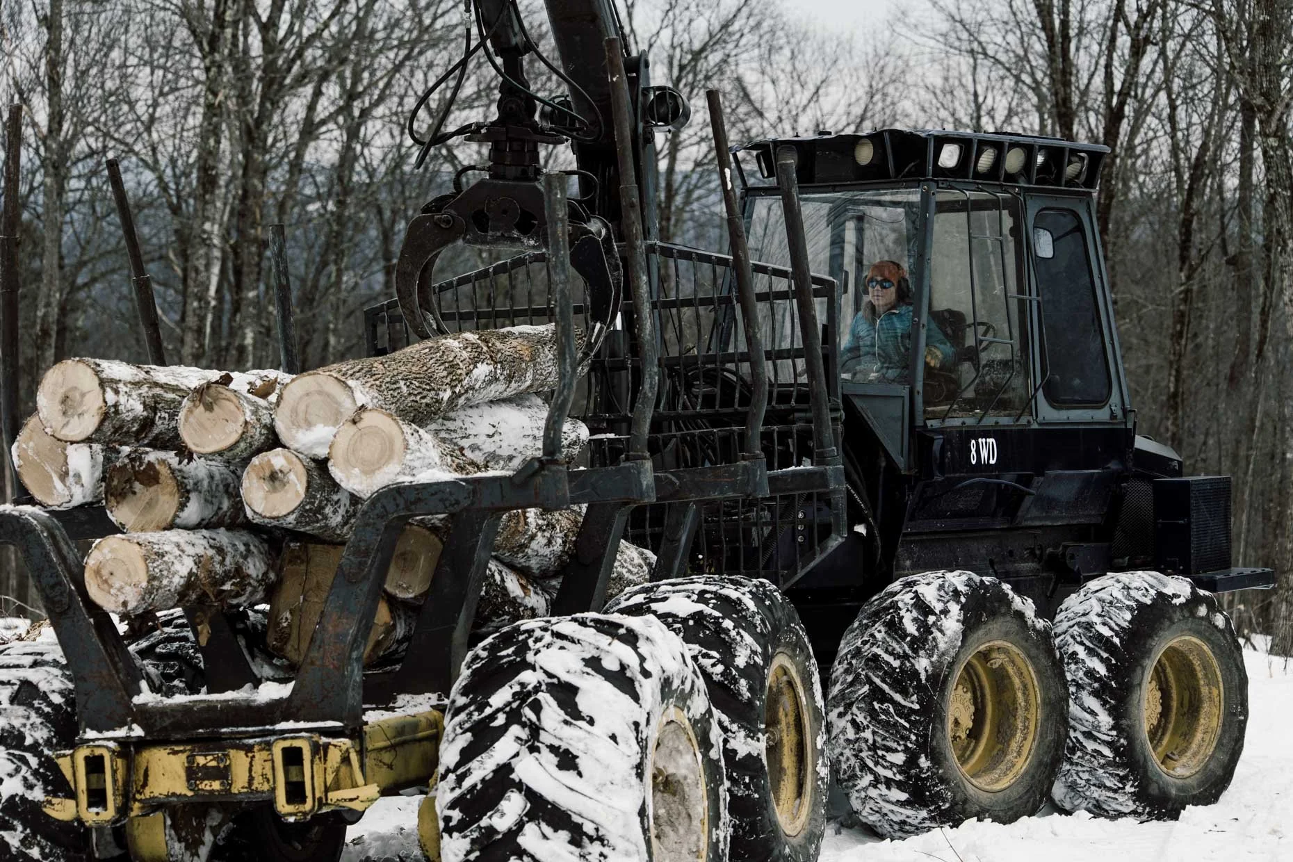 Timber Harvests — Timberdoodle Farm & Sawmill