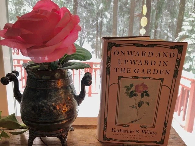 Onward and Upward — Cathy Salter