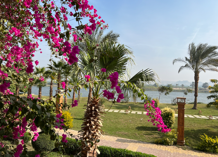 Tell el Amarna Guide — Akhenaten moved Egypt’s capital here during the ...