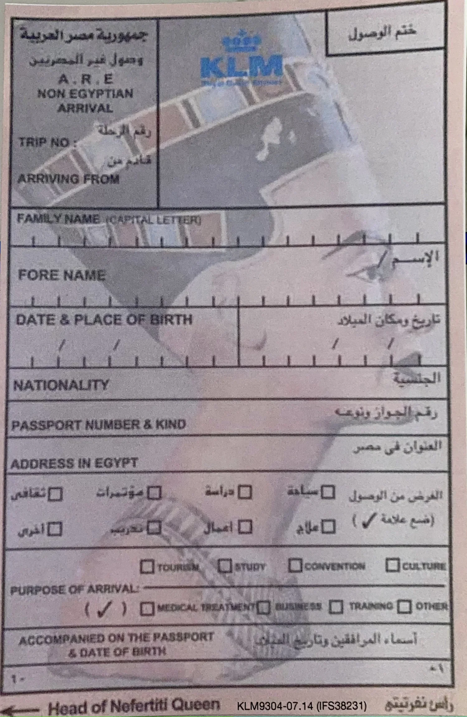 Flights from the US to Cairo: ultimate guide! — Egypt Adventures Travel