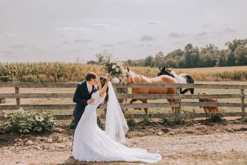 Wedding Gallery — Peacock Ridge