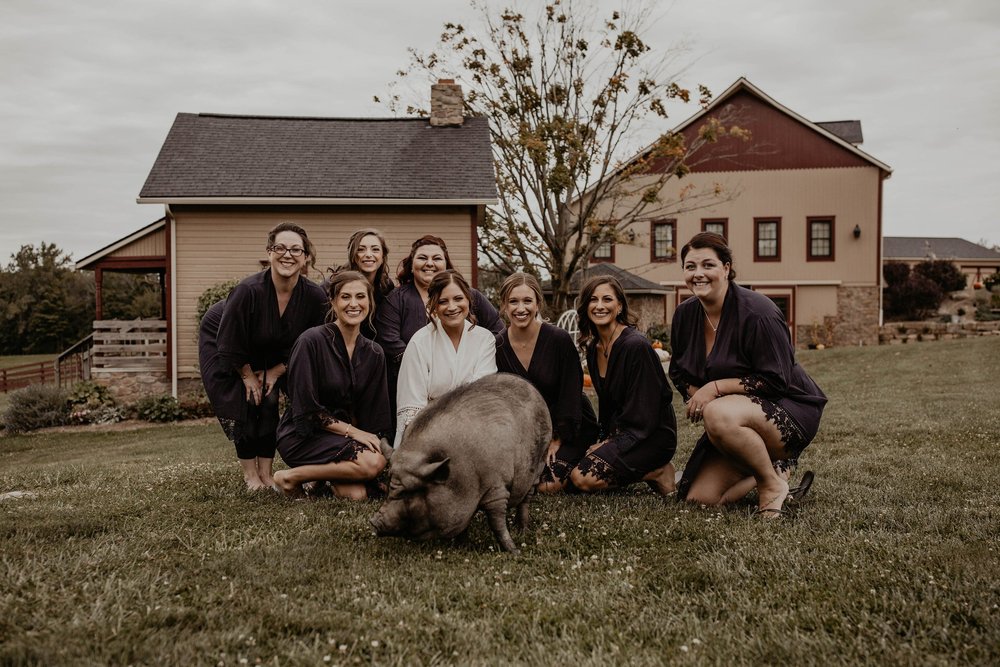 Affordable Wedding Venues In Northeast Ohio | Peacock Ridge