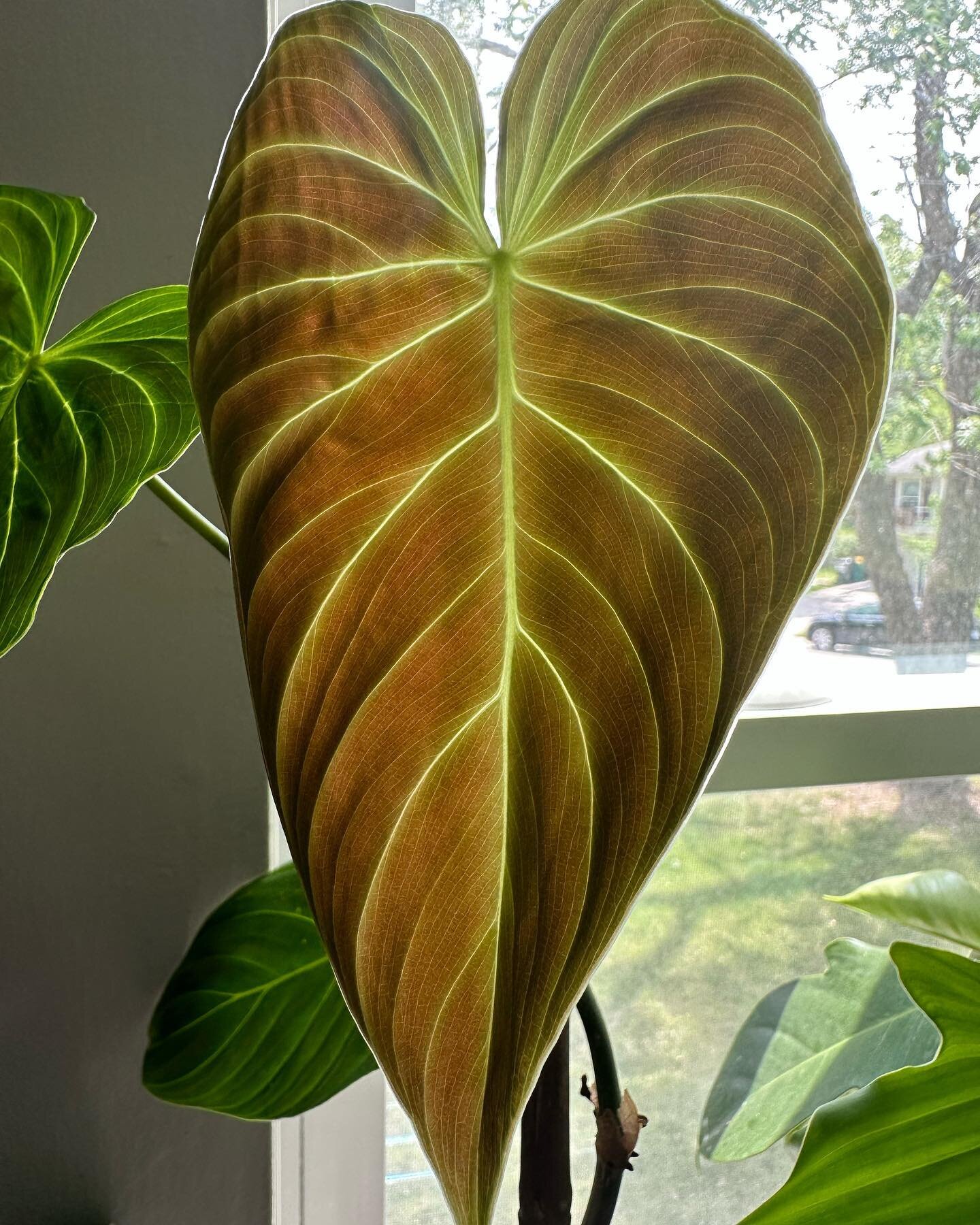 Home [herefloragoodtime.com]