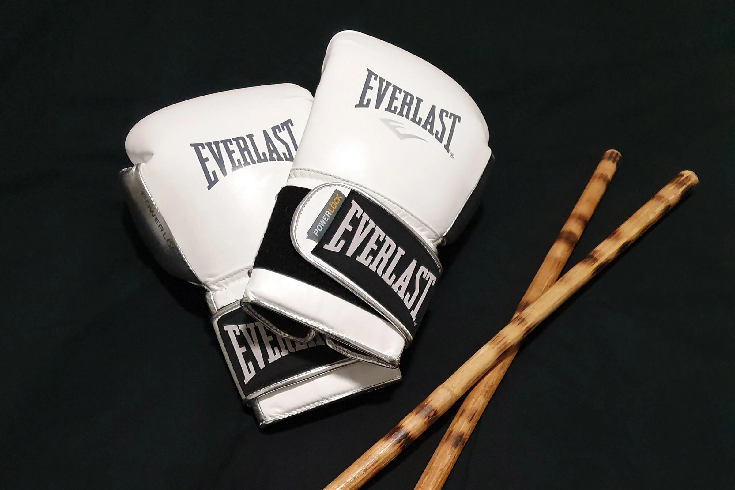 Martial Arts Therapy for self and group development for business and ...