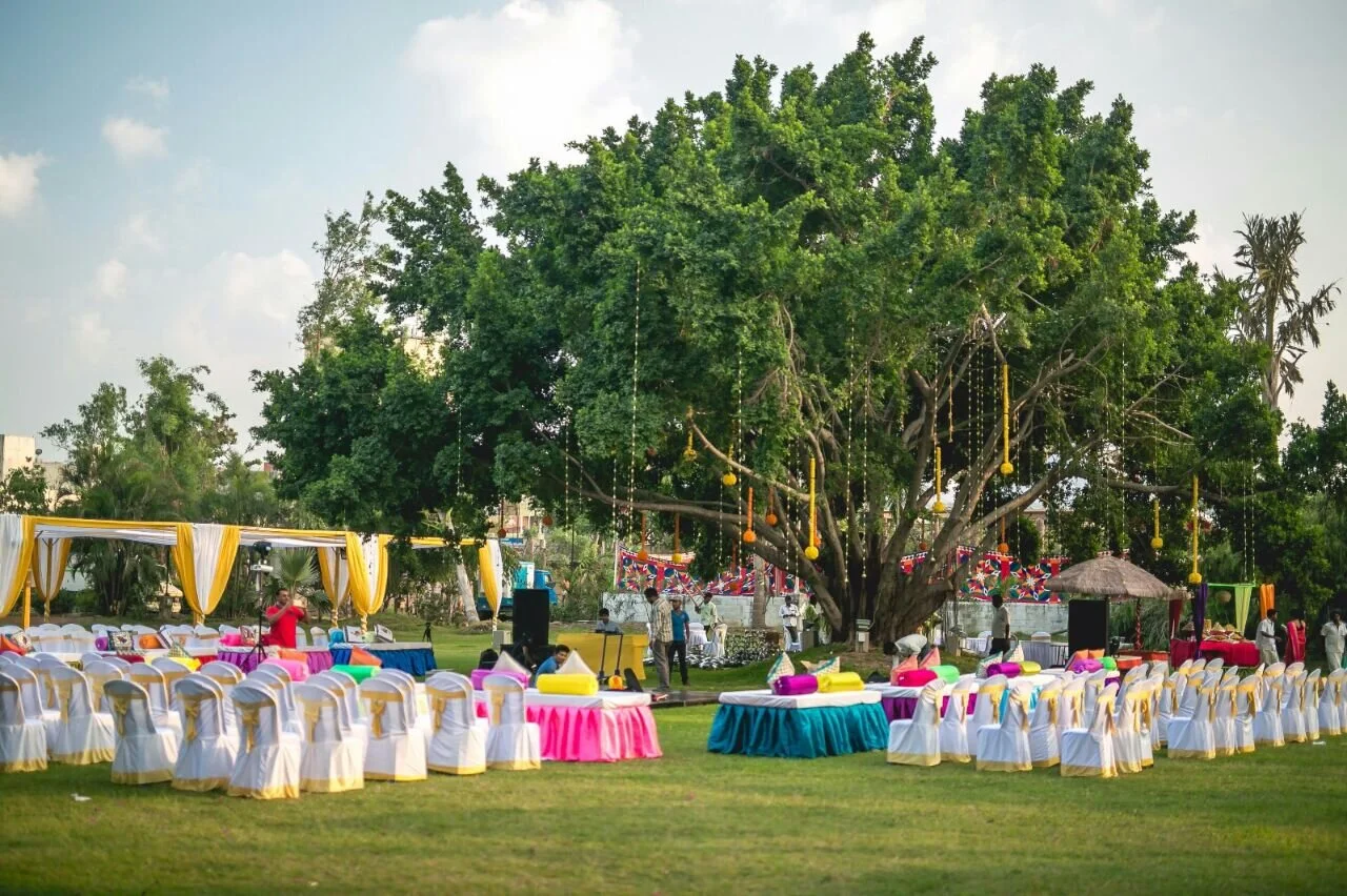 Ficus Lawn — SPP Gardens