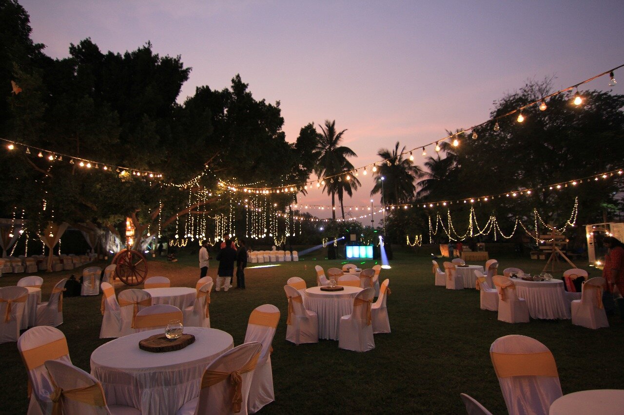 Ficus Lawn — SPP Gardens