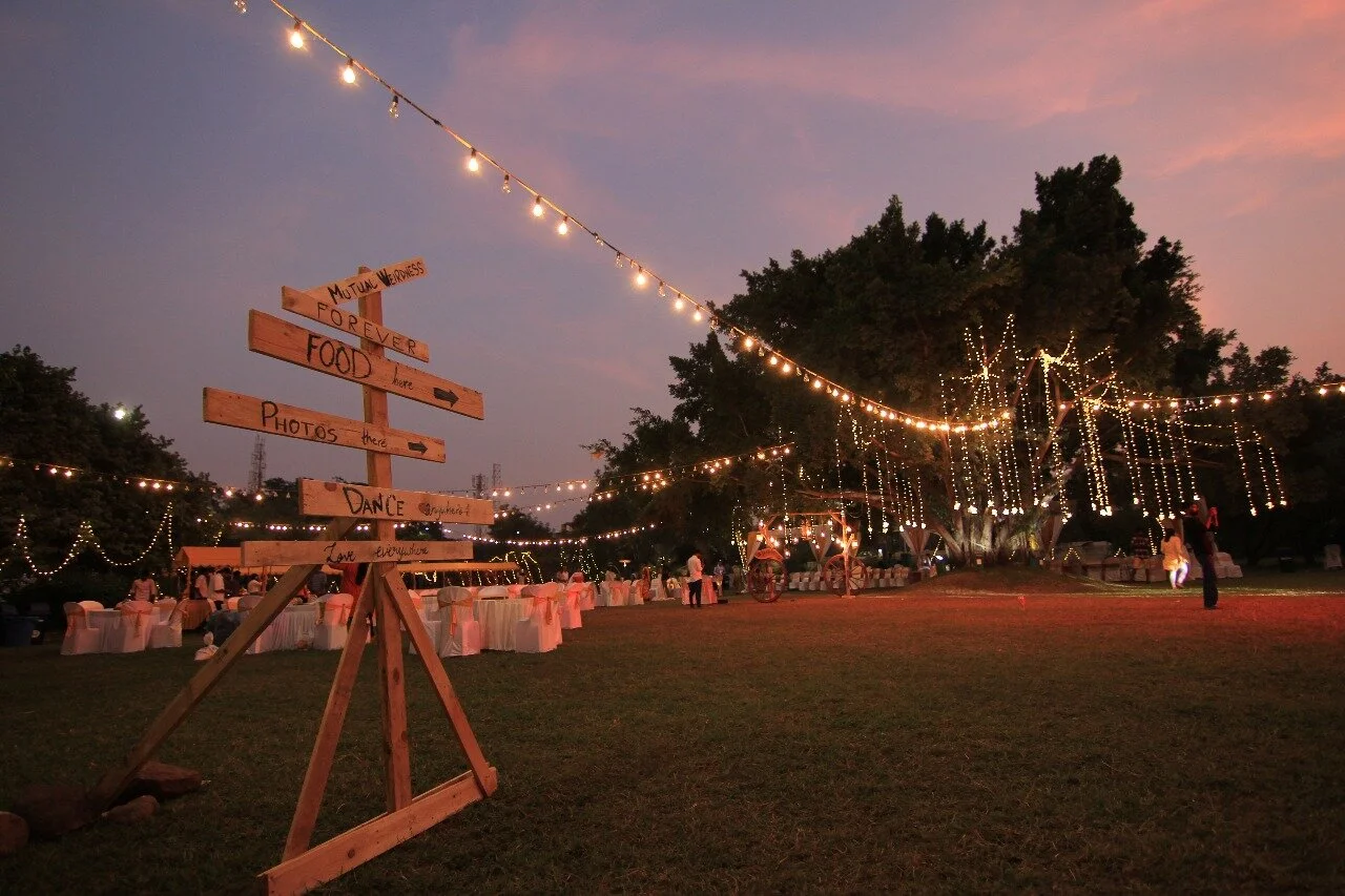 Ficus Lawn — SPP Gardens