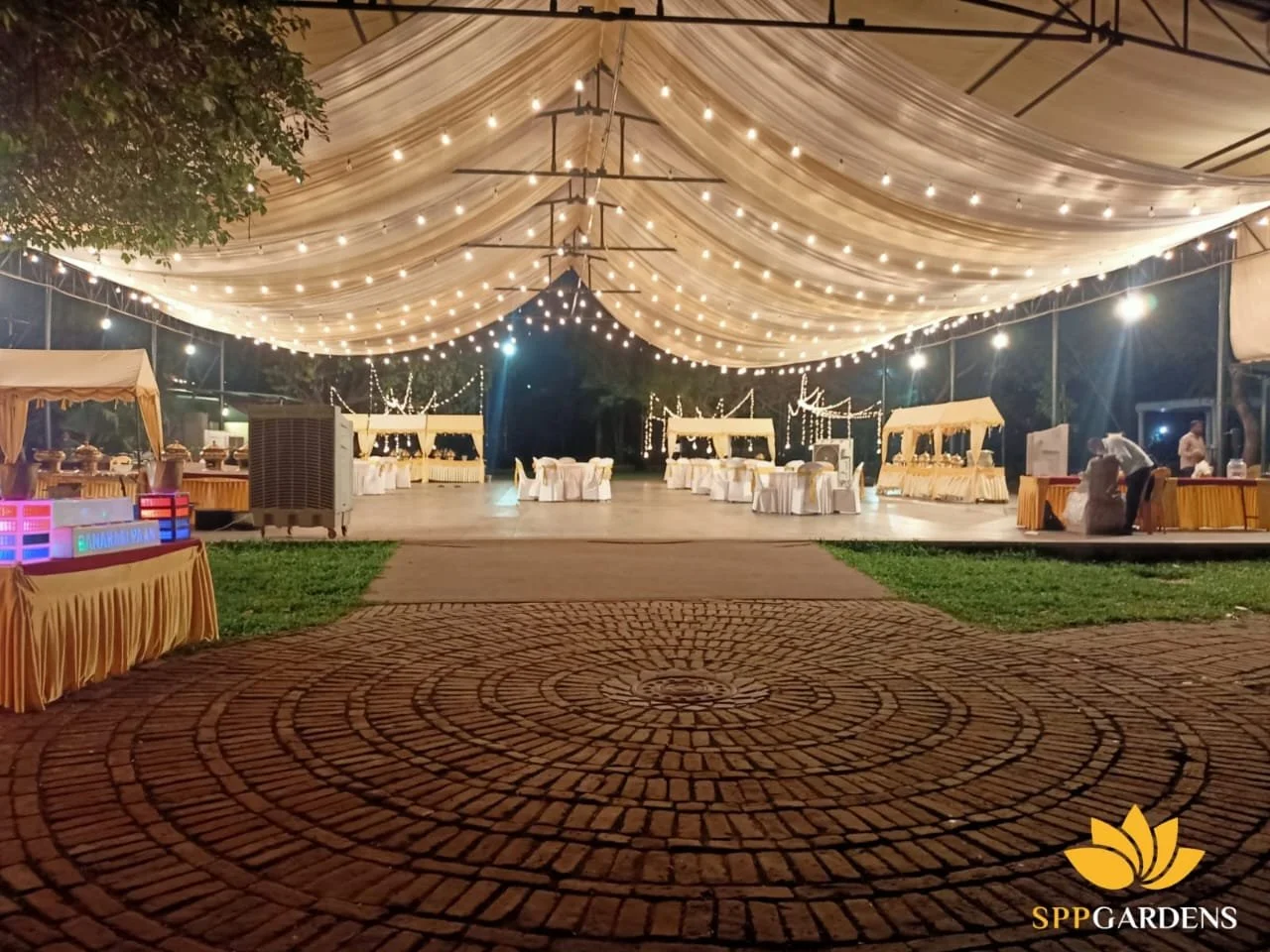 Ficus Lawn — SPP Gardens