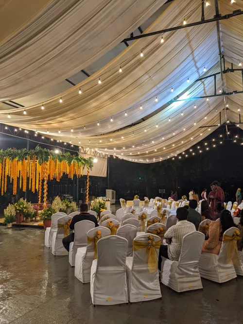 Ficus Lawn — SPP Gardens