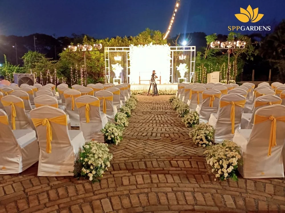 Ficus Lawn — SPP Gardens