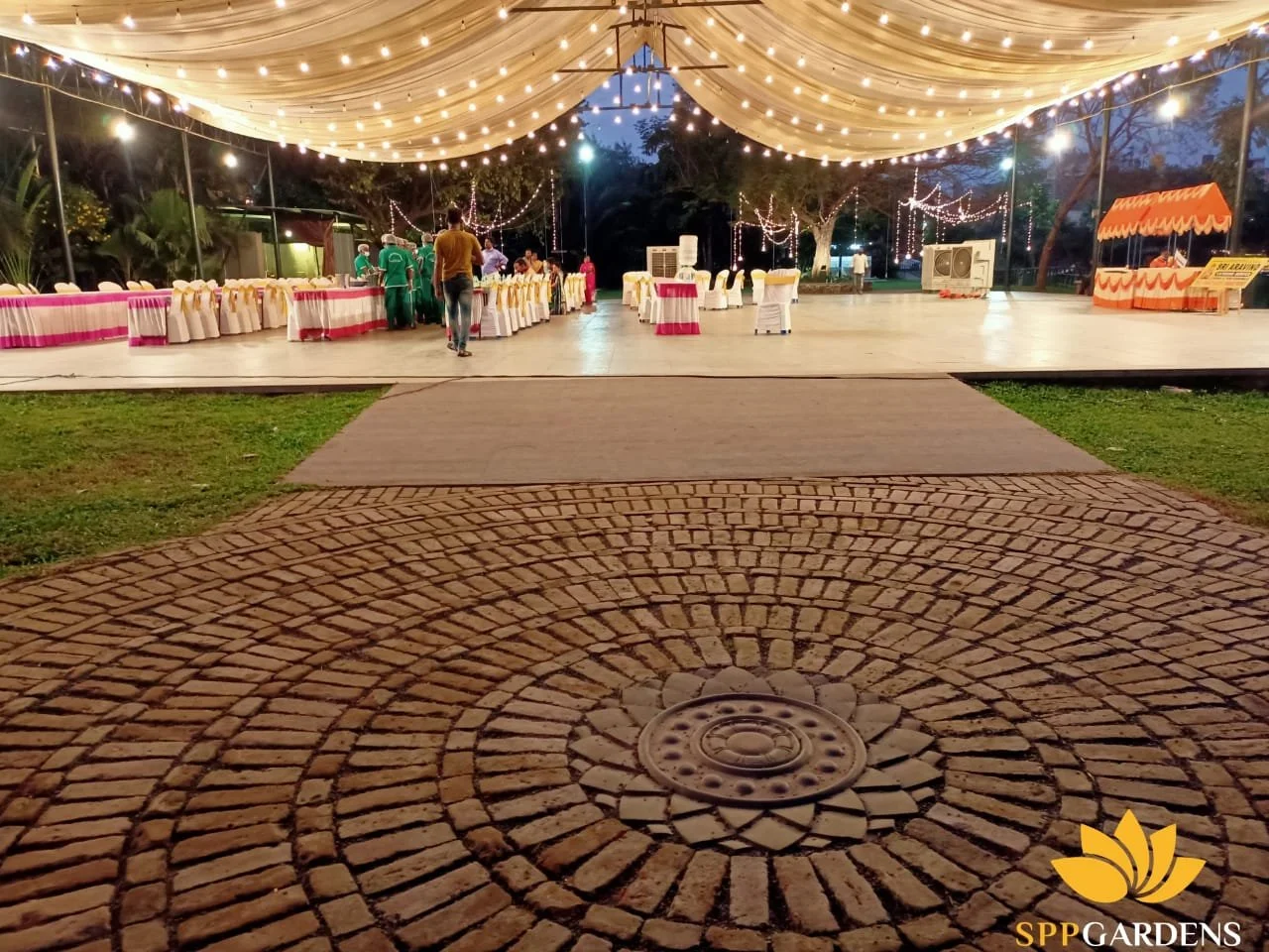 Ficus Lawn — SPP Gardens