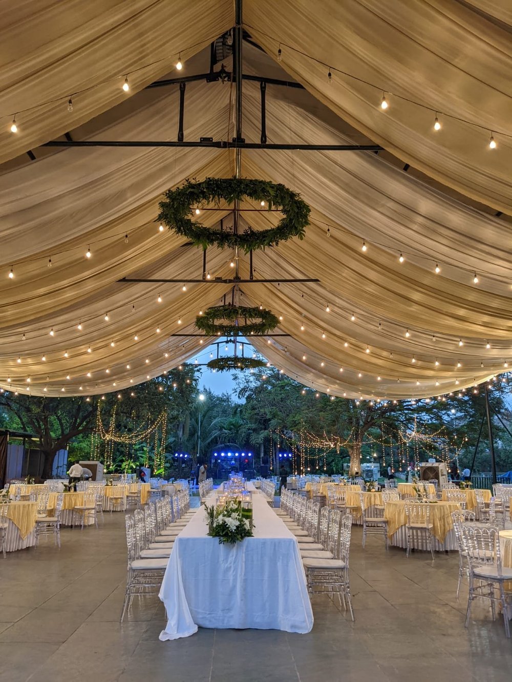 Ficus Lawn — SPP Gardens