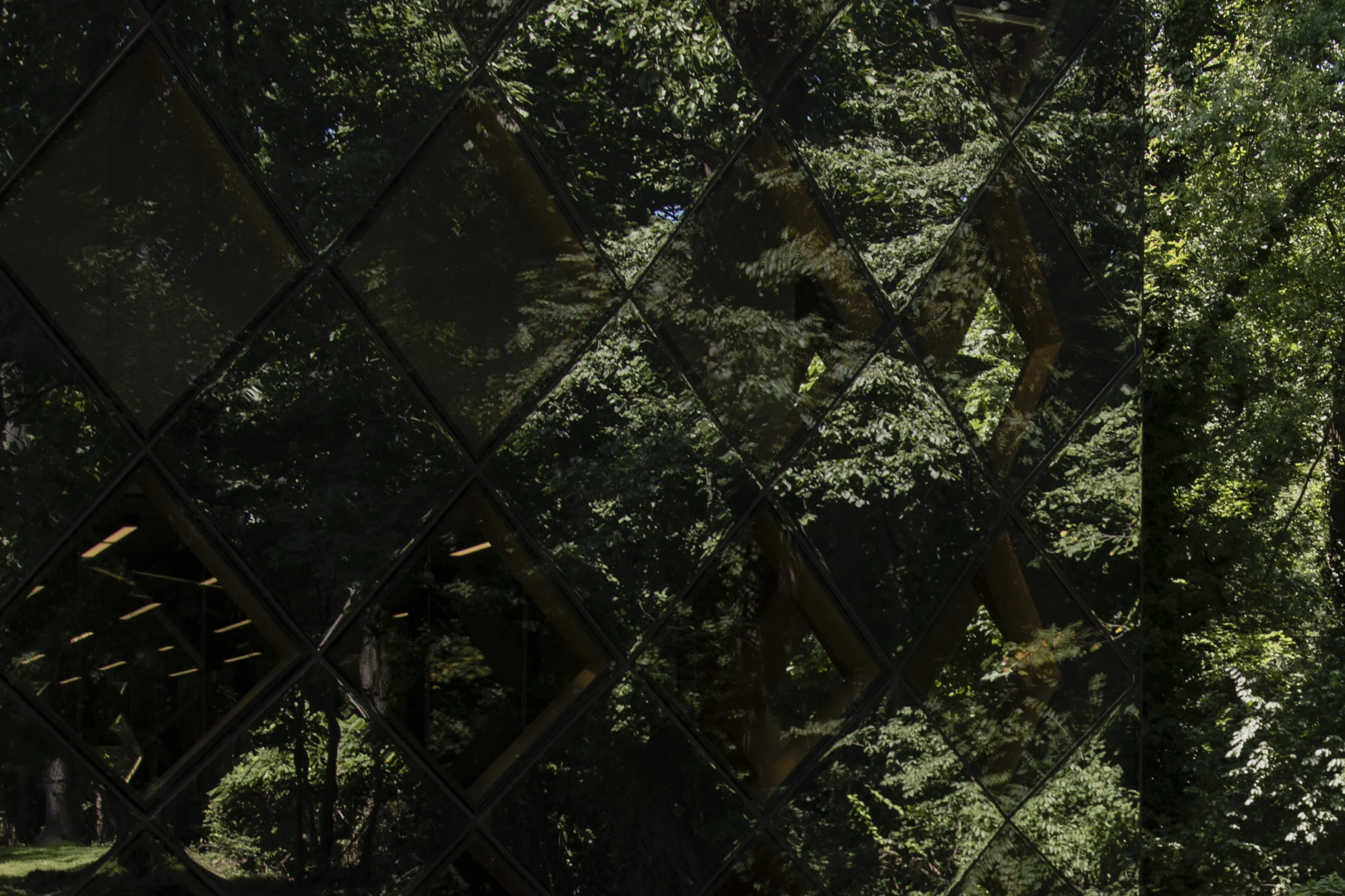 francis a. gregory library — david alf | photography