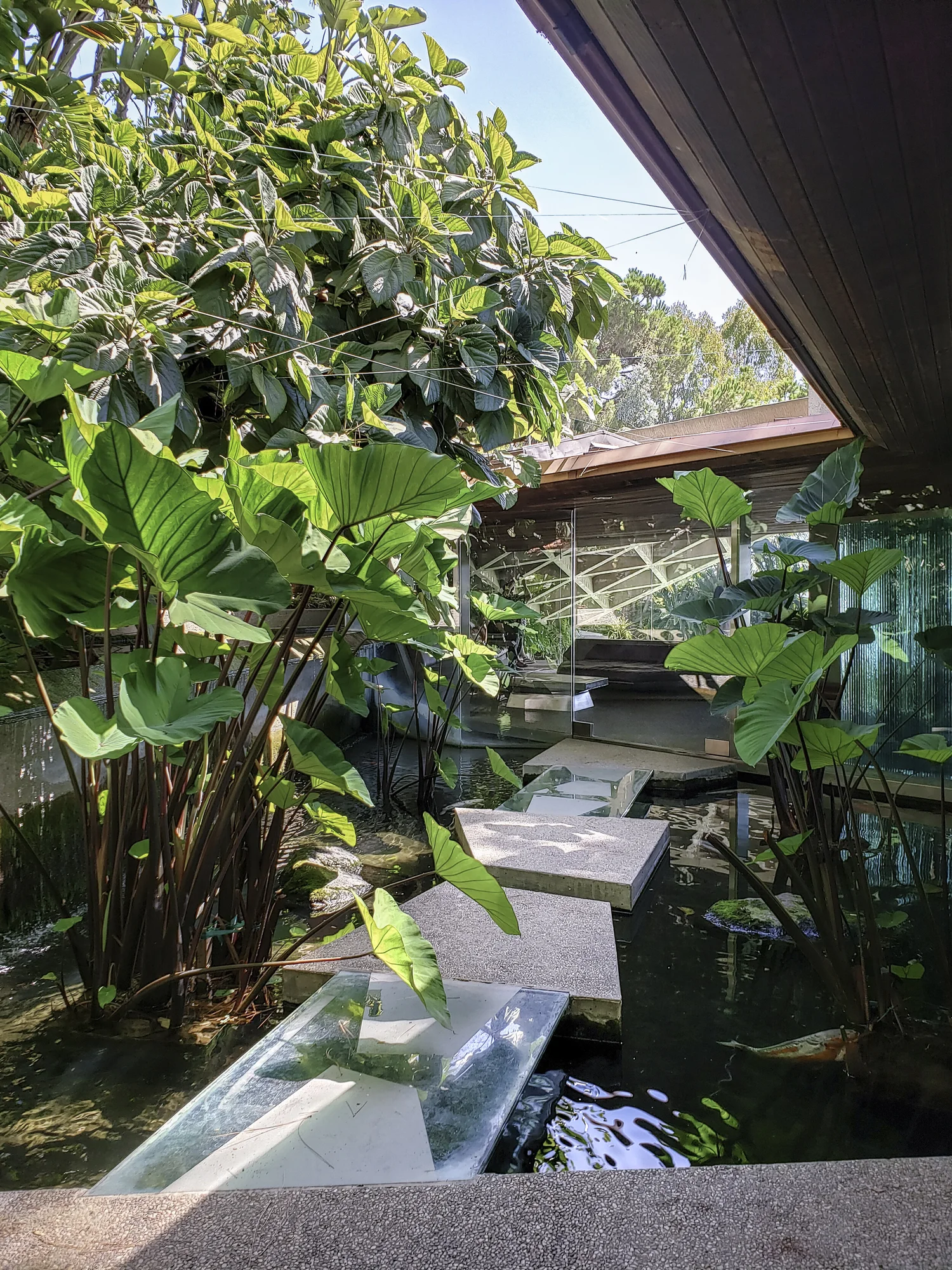 sheats goldstein residence — david alf